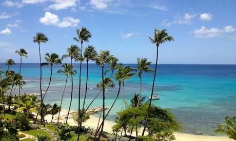 Where is hot in January | Perfect destinations for hot January holidays ...